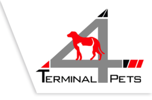 לטוס עם חיות מחמד – המדריך המלא | Terminal4Pets